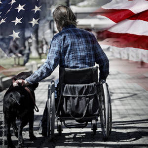 Disabled American Veterans of Minnesota | Veteran Nonprofit
